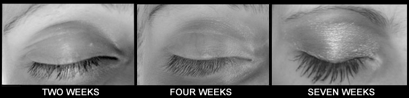 Speedlash eyelash growth and Eyelash Shampoo for Extensions and real lash